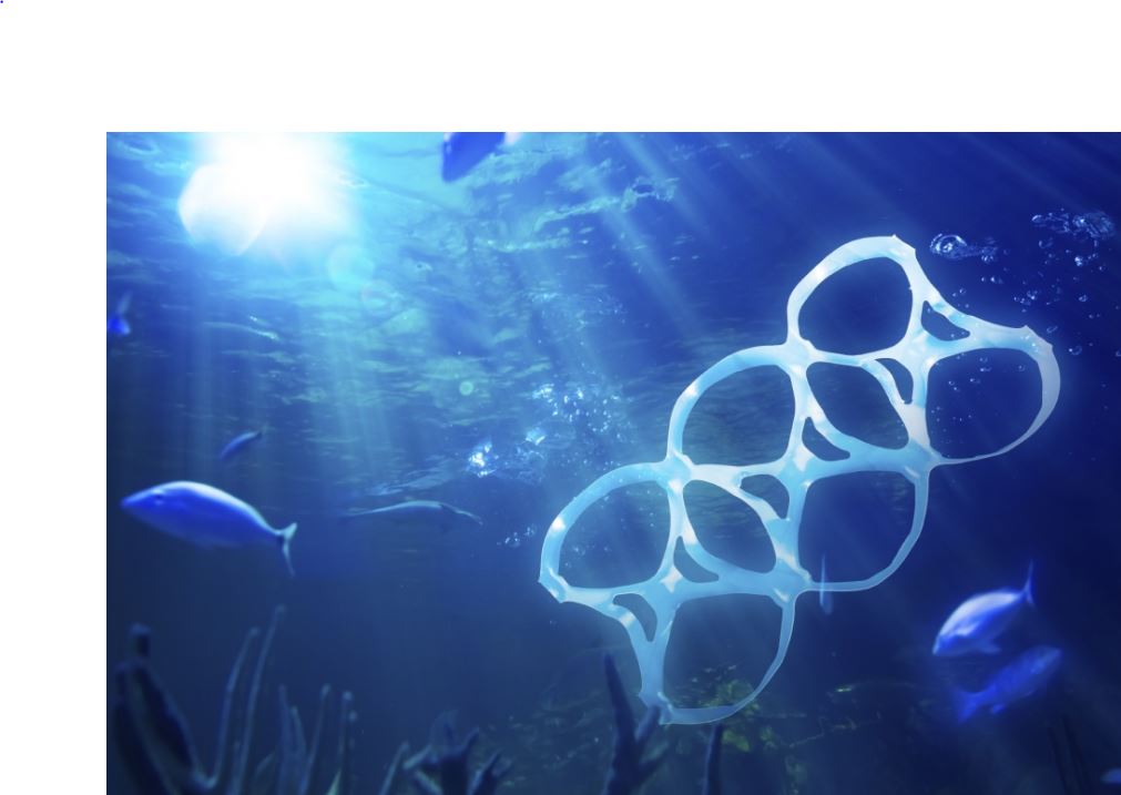 Saving our oceans – Northland Innovation Centre